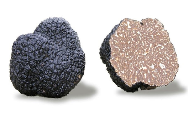 Fresh Burgundy Black Truffles - Buy Fresh Black Truffles online $45